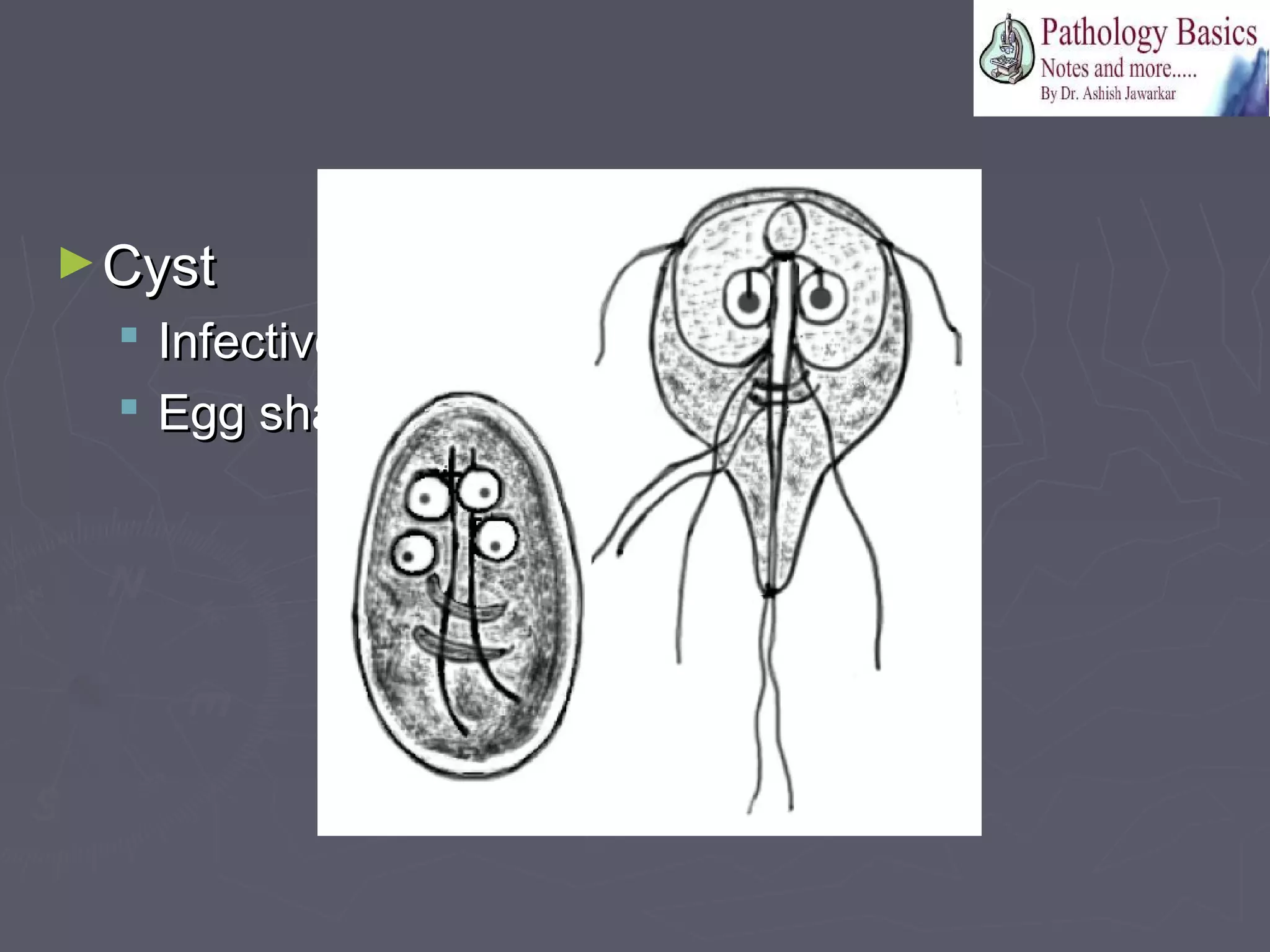Parasitology | PPT