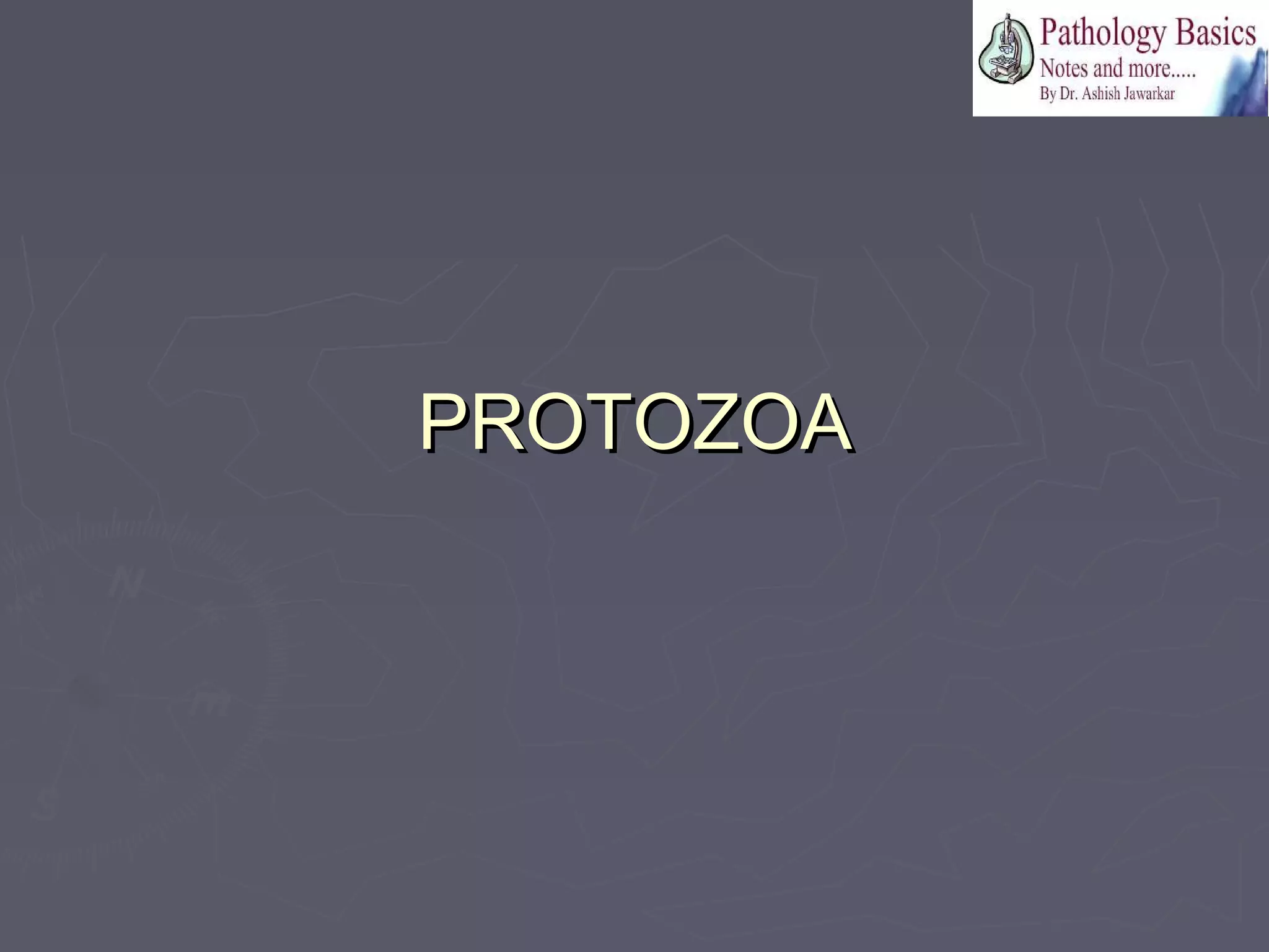Parasitology | PPT
