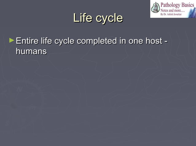 Parasitology | PPT