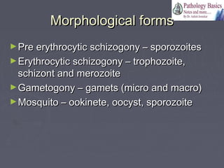 Parasitology | PPT