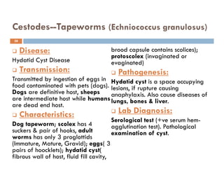 Review of Parasitology | PDF
