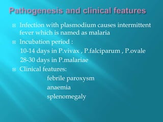 Parasitology (plasmodium) | PPTX