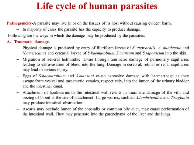 Parasitology | PDF | Infectious Diseases | Diseases and Conditions
