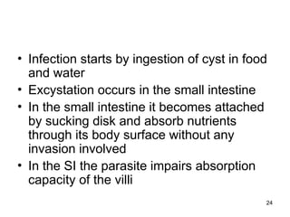 parasitology.ppt jdkjasdkjasdkjaskjdklajdkljdklj | PPT