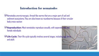 ASCARIS LUMBRICOID nematodes parasite .pptx