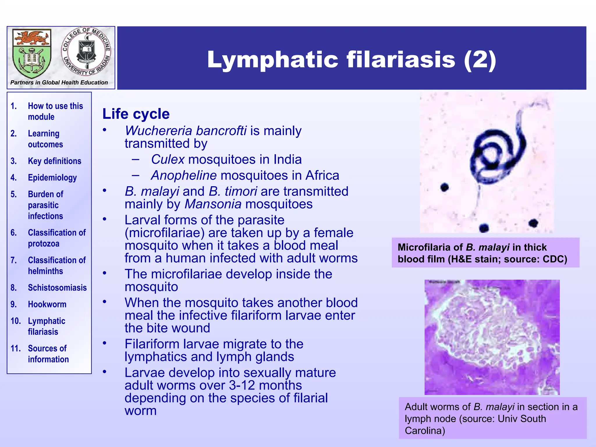 Parasitology.ppt introduction notes for mls | PPT