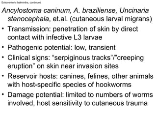 Medical Parasitology (Helminth & Protozoa).ppt