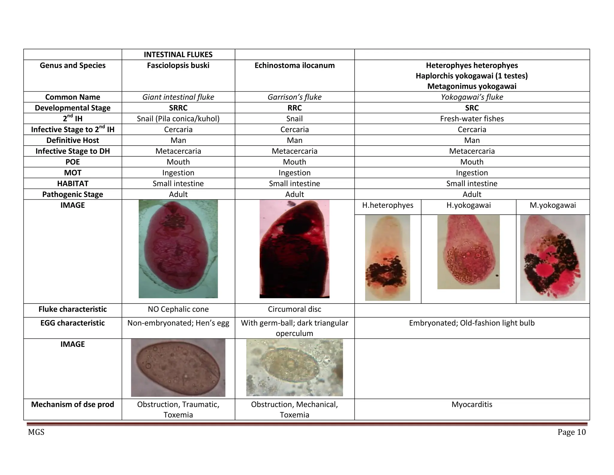 Parasitology-Lab.pdf