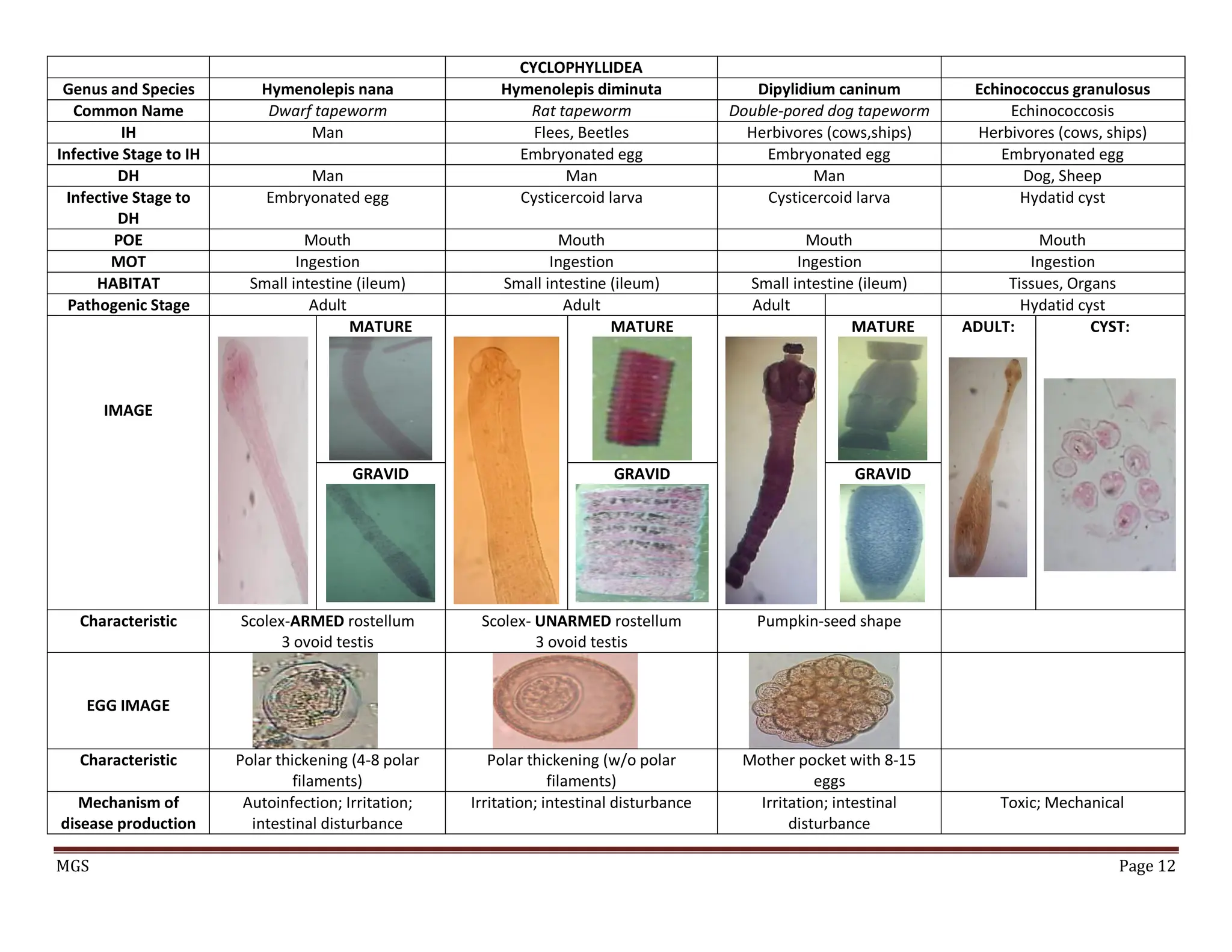 Parasitology-Lab.pdf