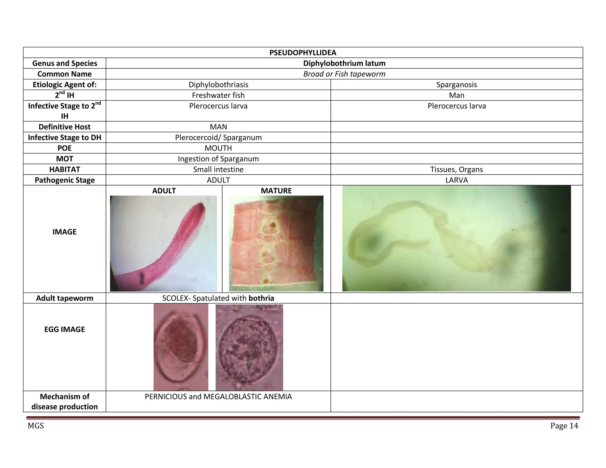 Parasitology-Lab.pdf