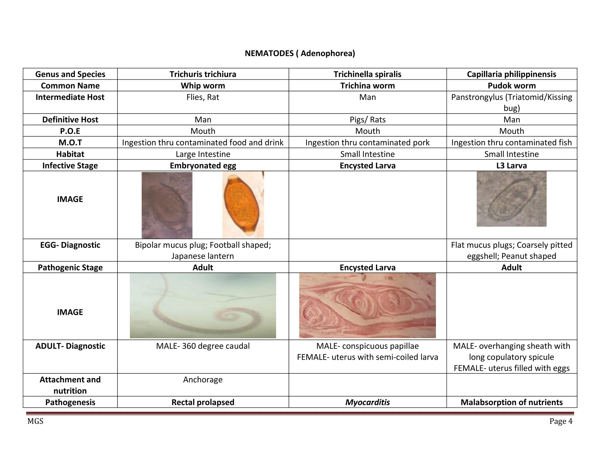 Parasitology-Lab.pdf