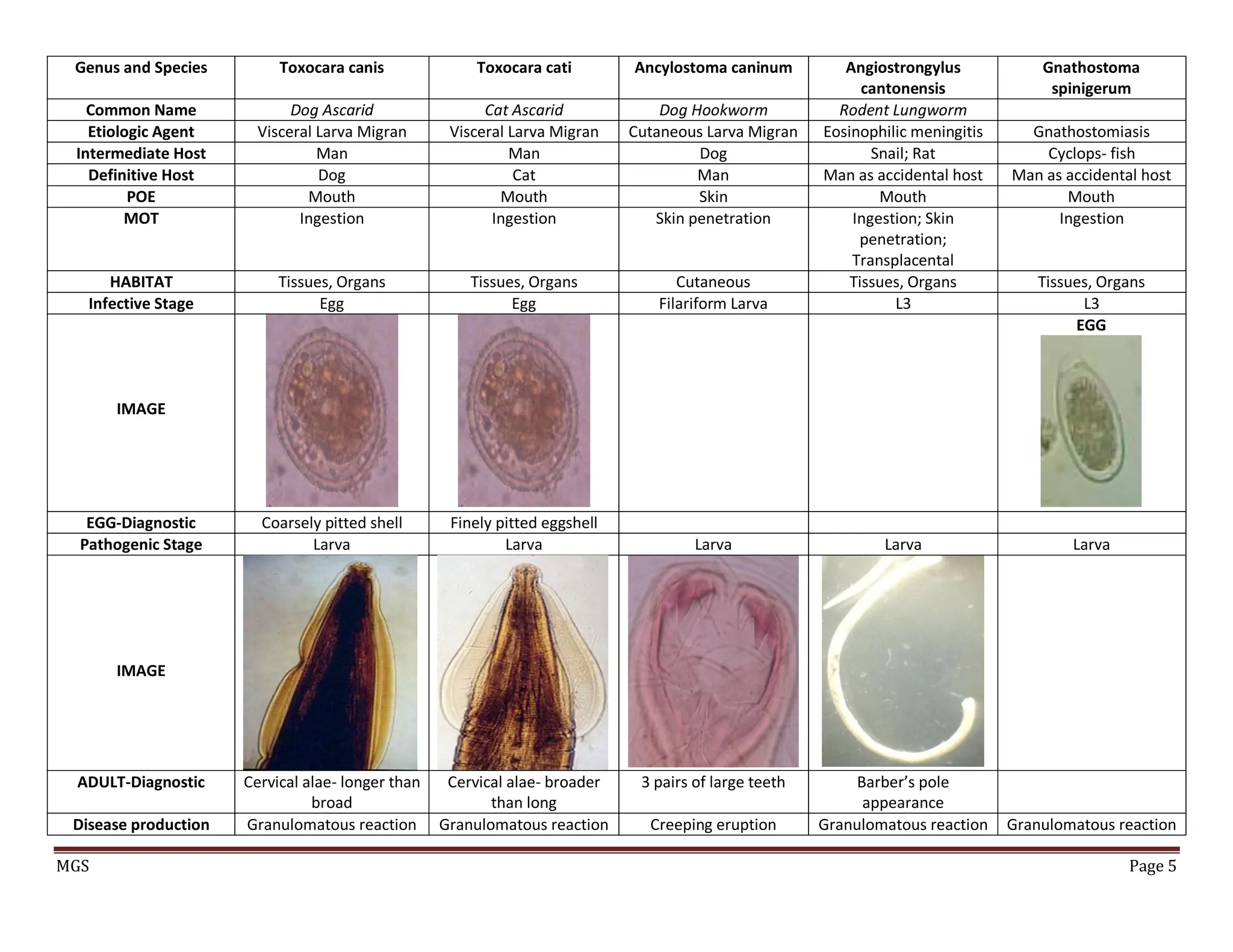 Parasitology-Lab.pdf