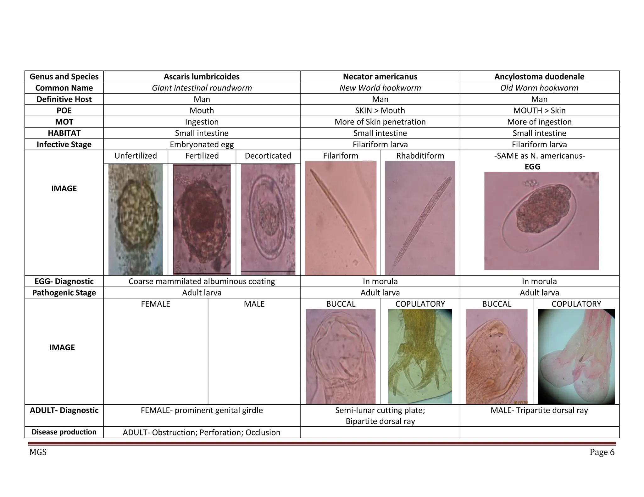 Parasitology-Lab.pdf