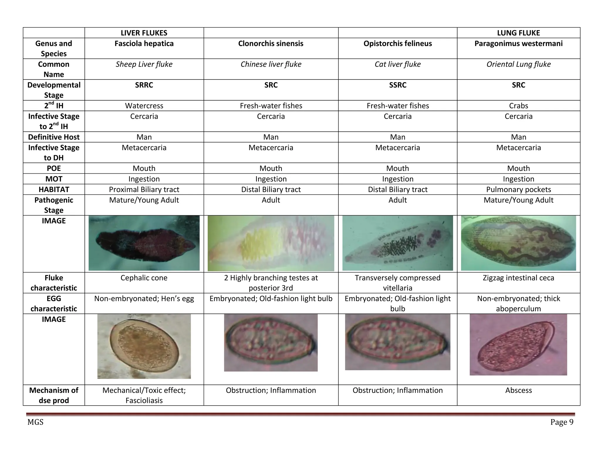 Parasitology-Lab.pdf