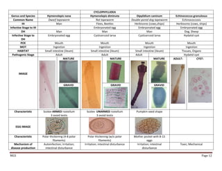 Parasitology-Lab.pdf