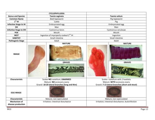 Parasitology-Lab.pdf