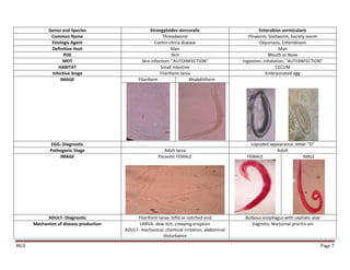 Parasitology-Lab.pdf