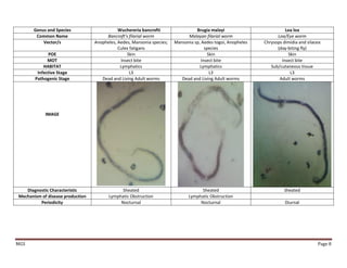 Parasitology-Lab.pdf