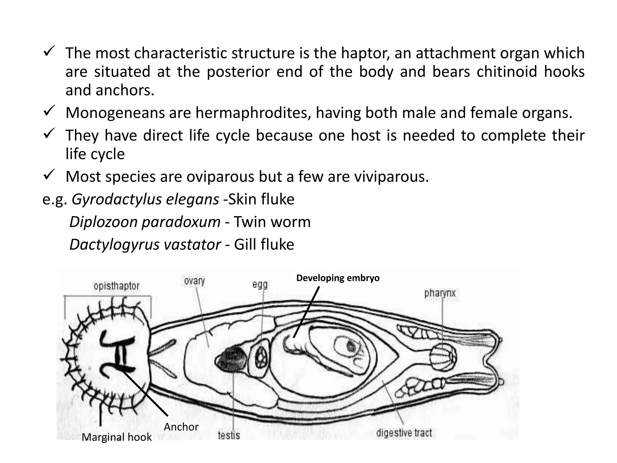 Fish Parasitology | PPTX