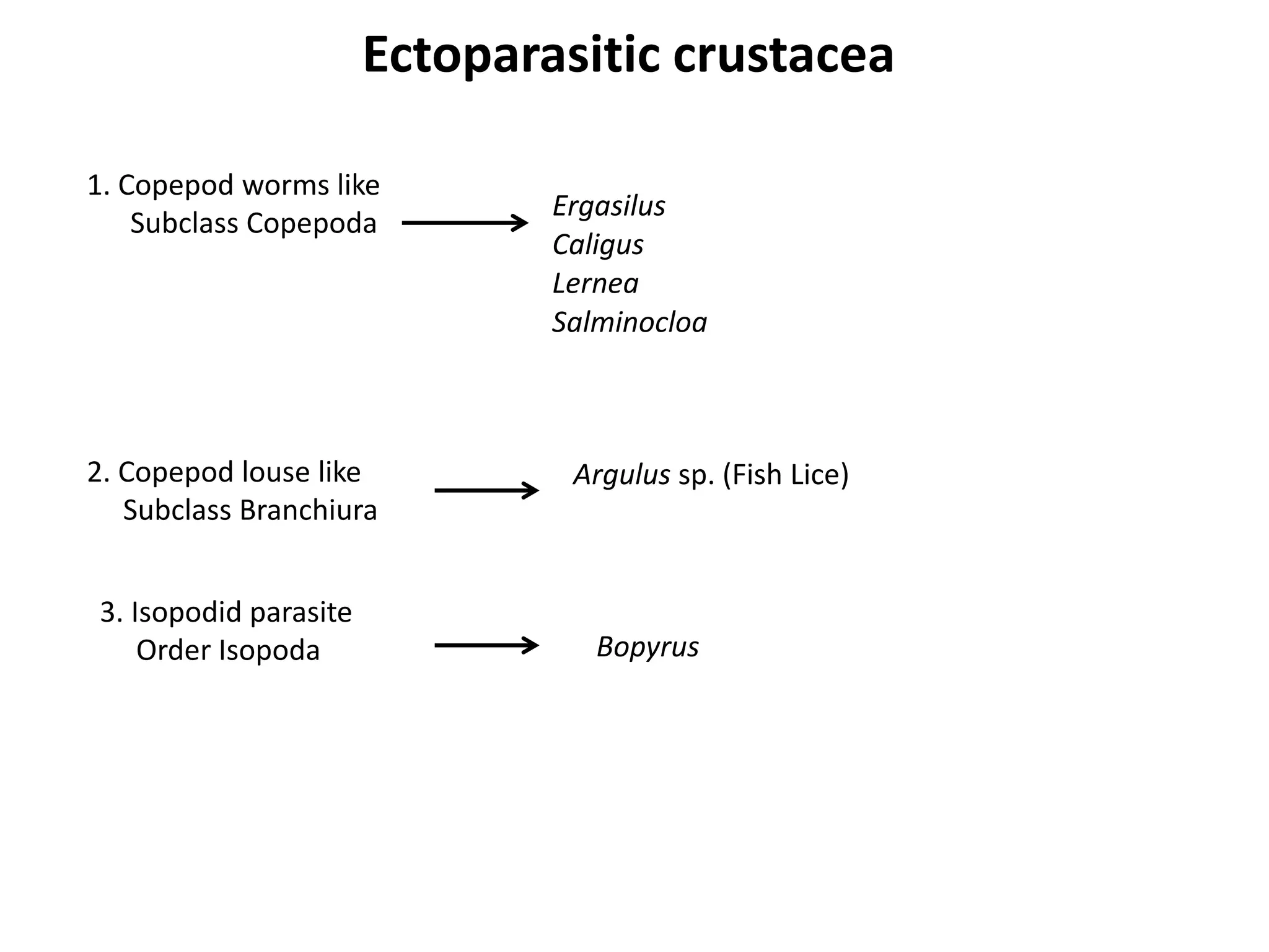 Fish Parasitology | PPTX