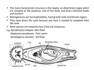 Fish Parasitology | PPT