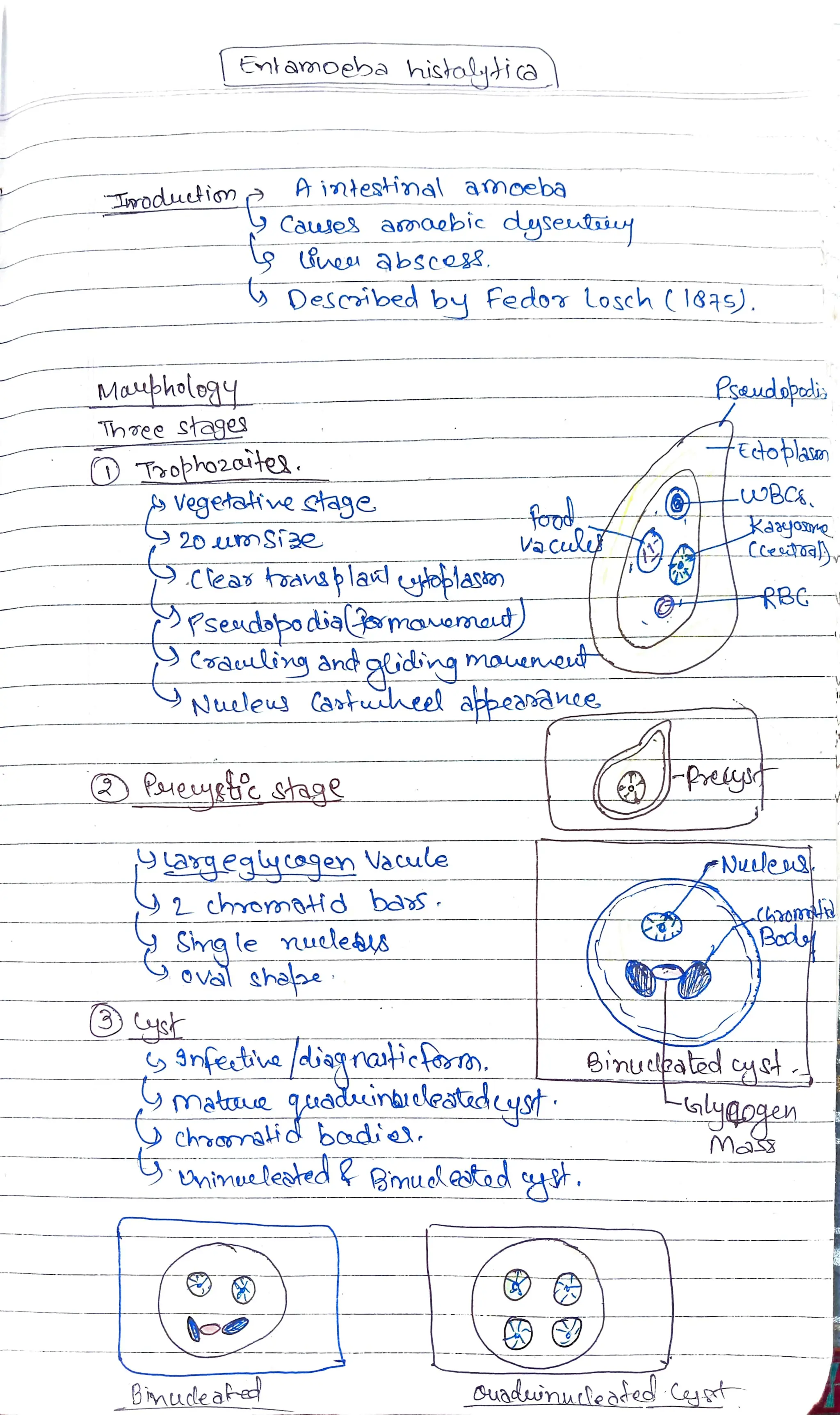 Parasitology -1 / Diarrhea causing parasite, Amoebiasis.pdf