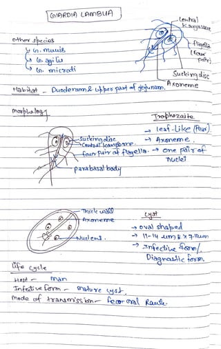Parasitology -1 / Diarrhea causing parasite, Amoebiasis.pdf