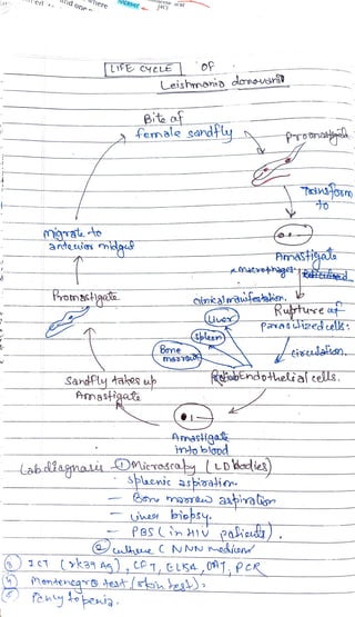 Parasitology -1 / Diarrhea causing parasite, Amoebiasis.pdf