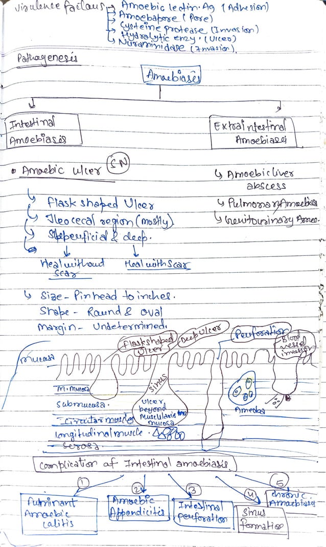 Parasitology -1 / Diarrhea causing parasite, Amoebiasis.pdf