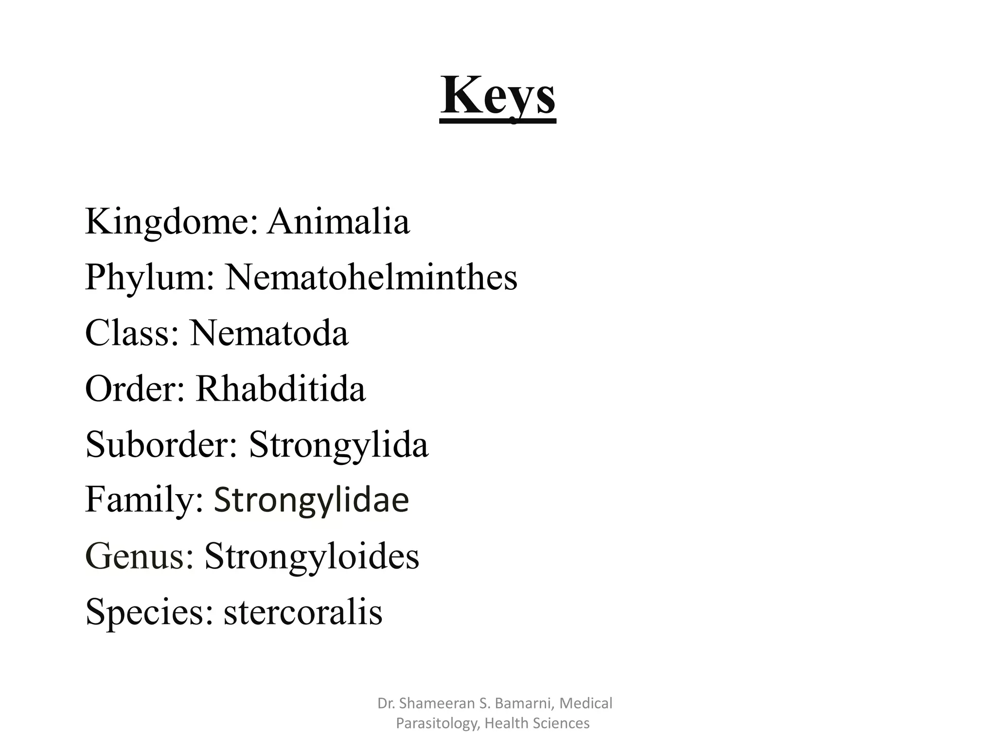 Parasitology: Hook worm and Stronglyoides stercoralis | PDF