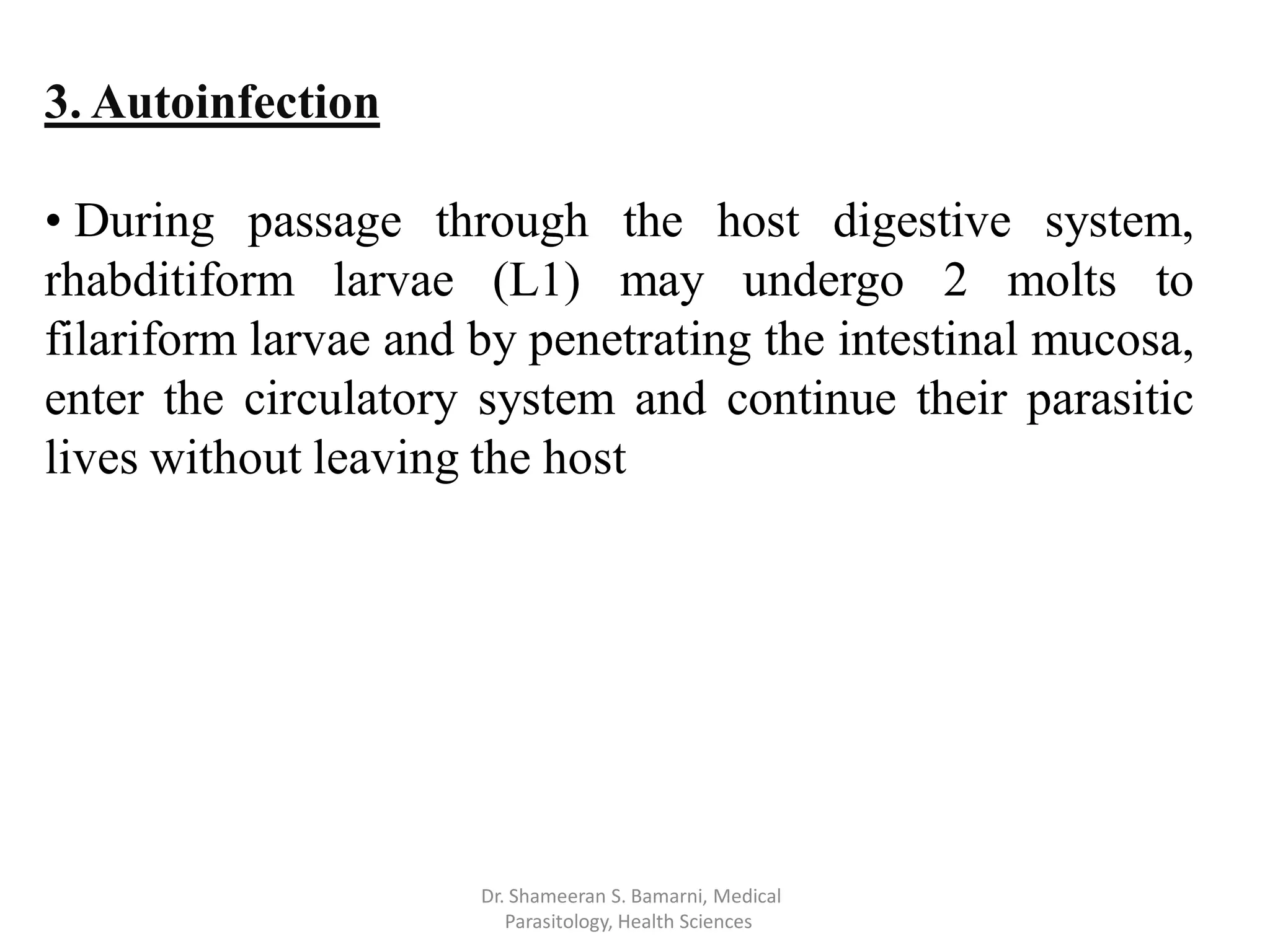 Parasitology: Hook worm and Stronglyoides stercoralis | PDF