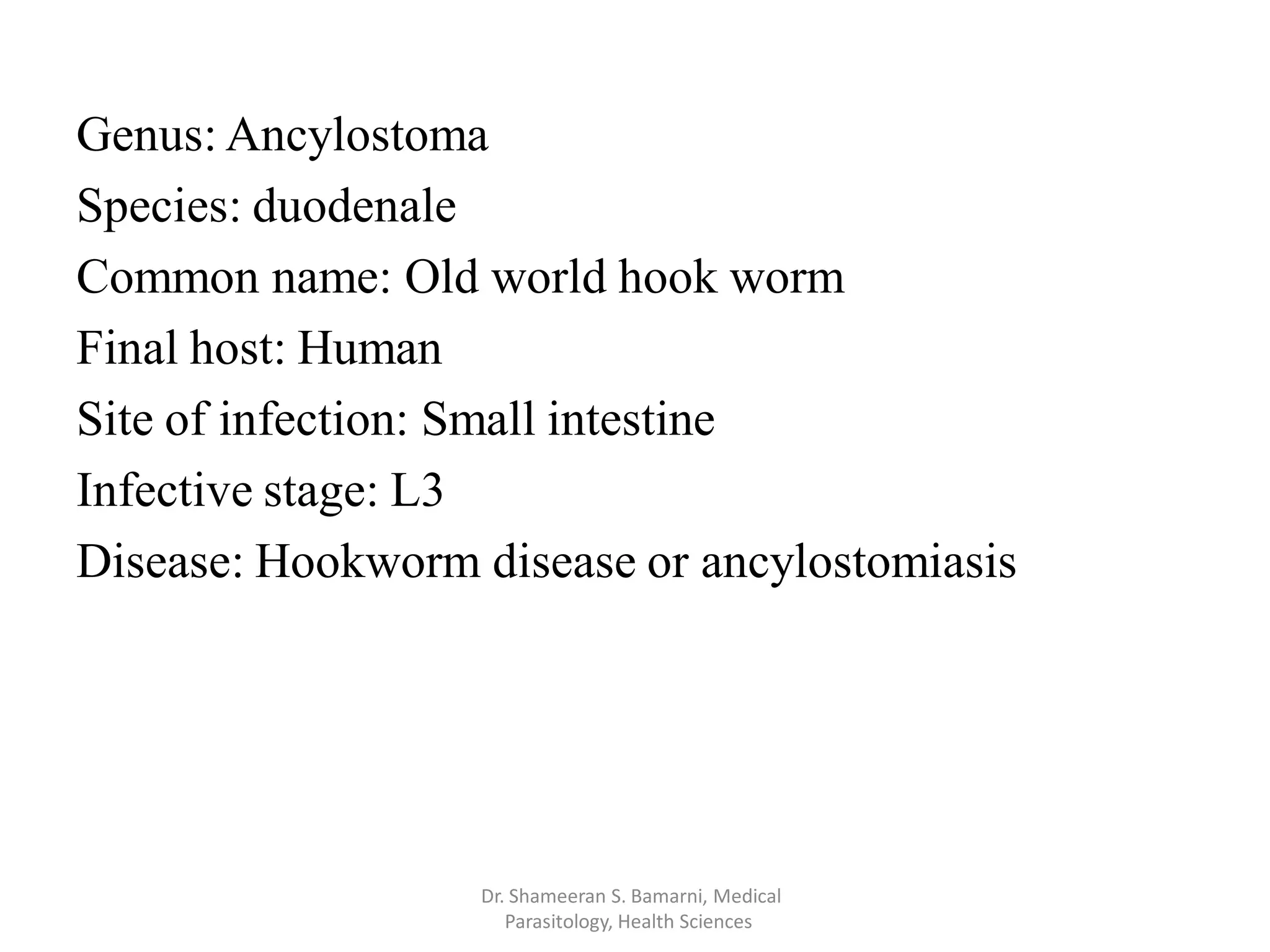 Parasitology: Hook worm and Stronglyoides stercoralis | PDF
