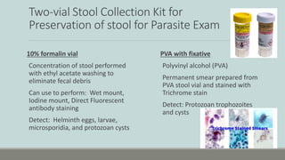 Parasitology 2024 | Microbes with Morgan | PPTX