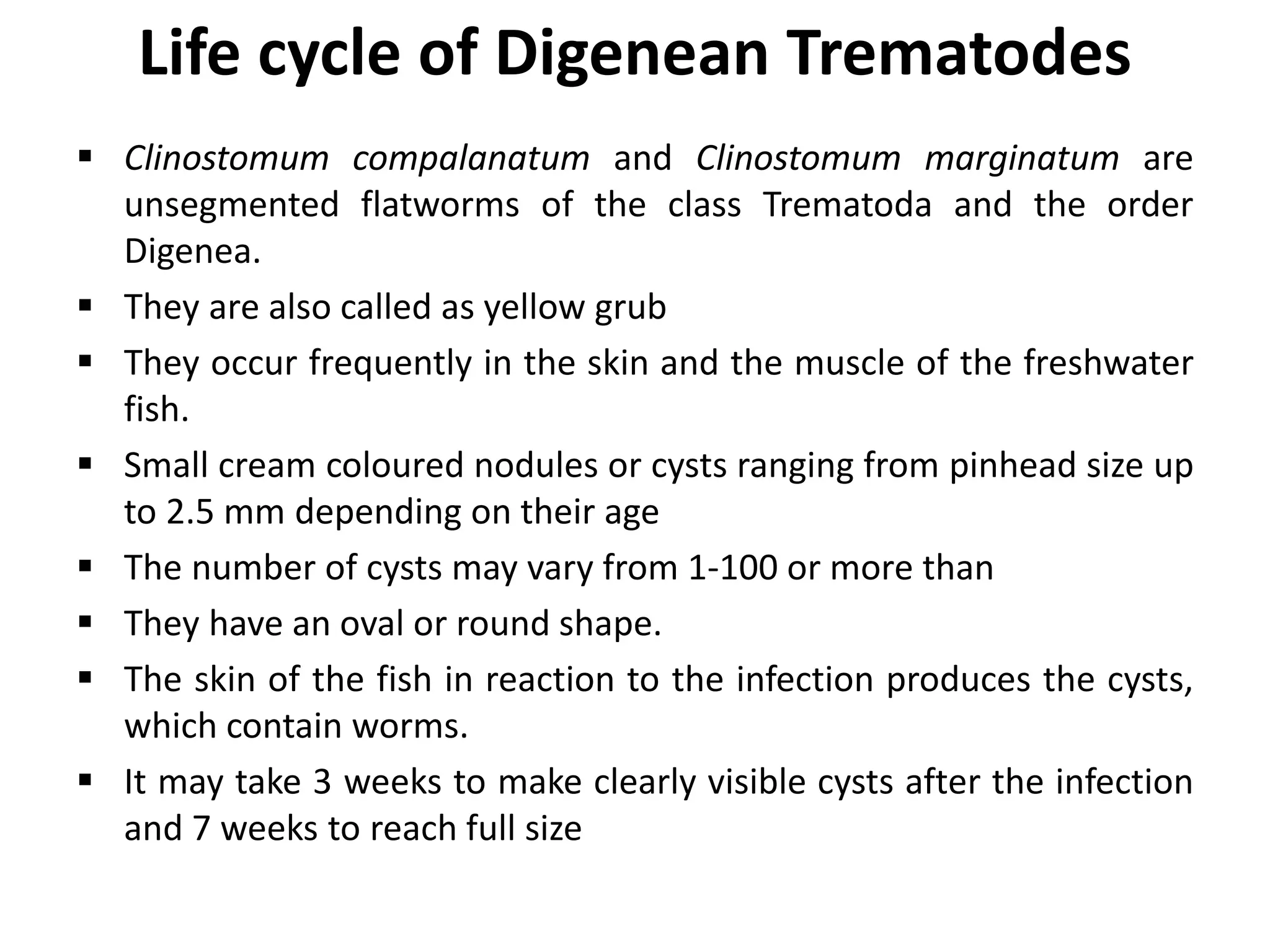 Life Cycle Of Protozoan Parasite Ppt