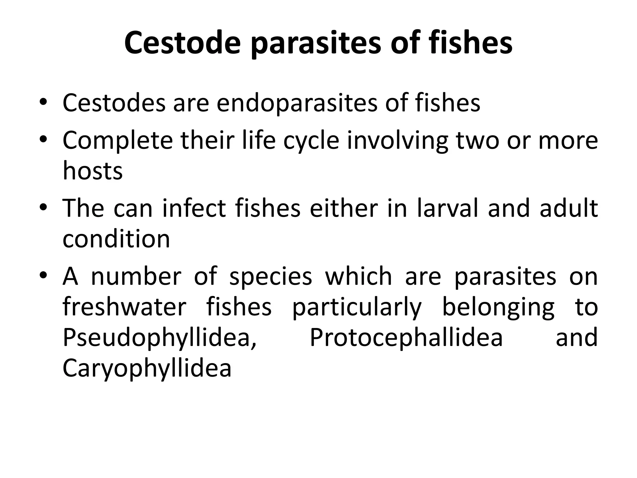 Life Cycle Of Protozoan Parasite Ppt