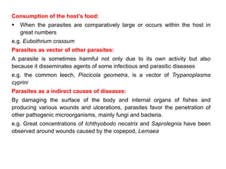 Life cycle of Protozoan parasite | PPTX