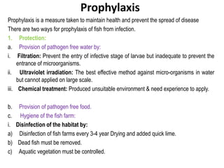 Life cycle of Protozoan parasite | PPTX