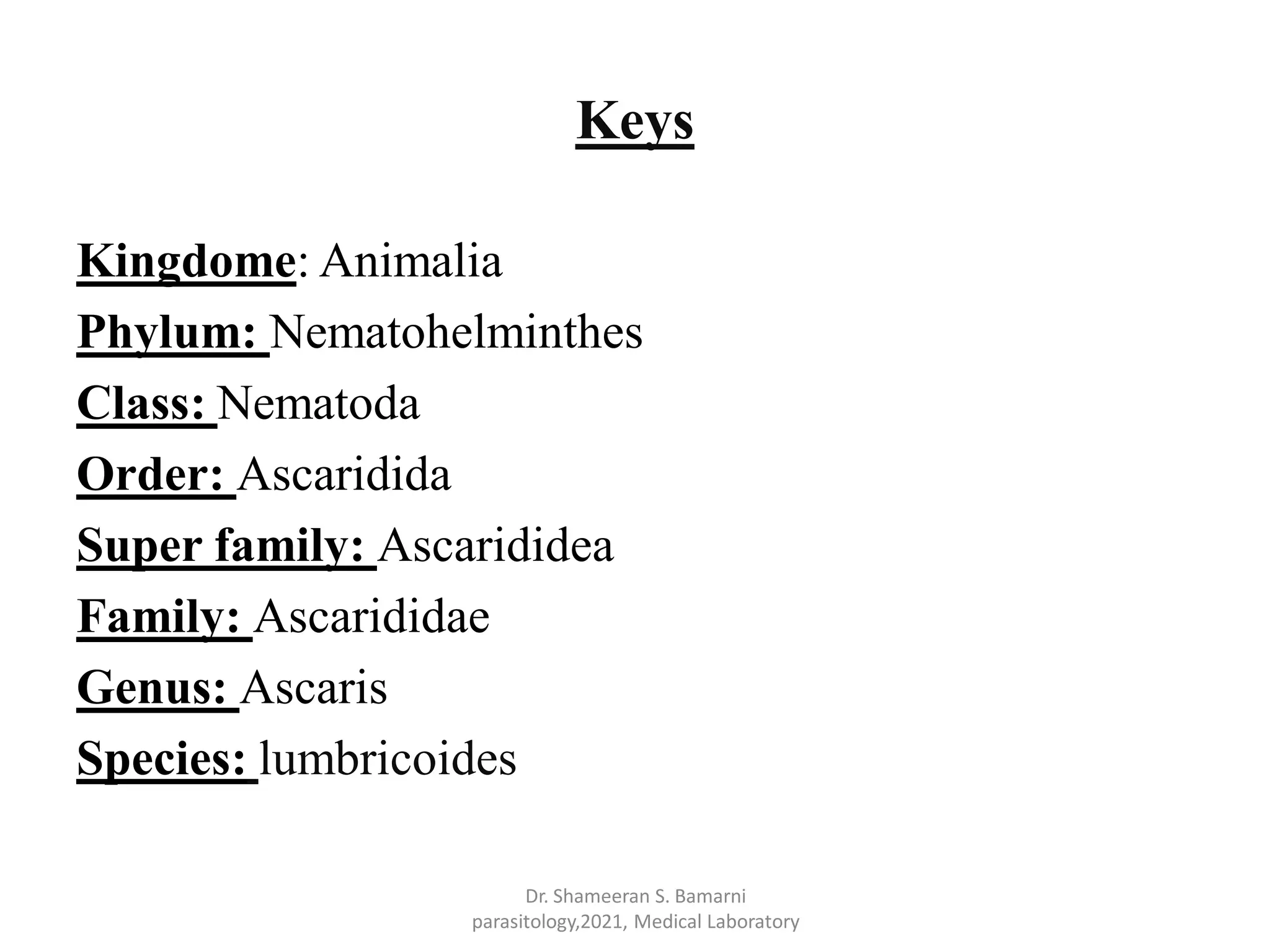 introduction to Nematode and Ascaris lumbricodies | PDF