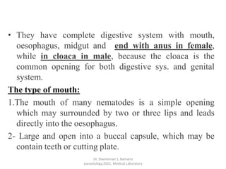 introduction to Nematode and Ascaris lumbricodies | PDF