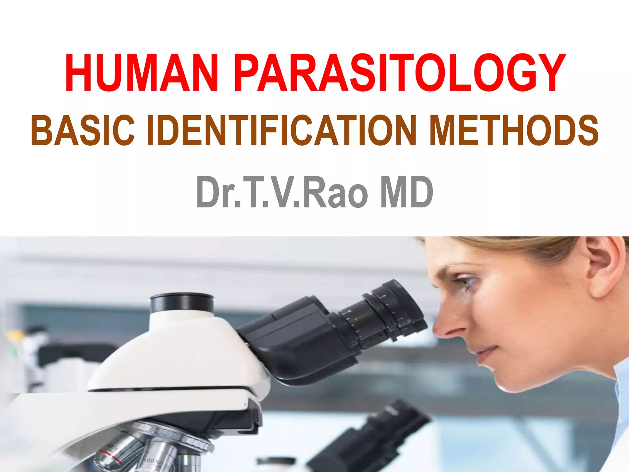 Parasitology Basic Identification methods | PPTX