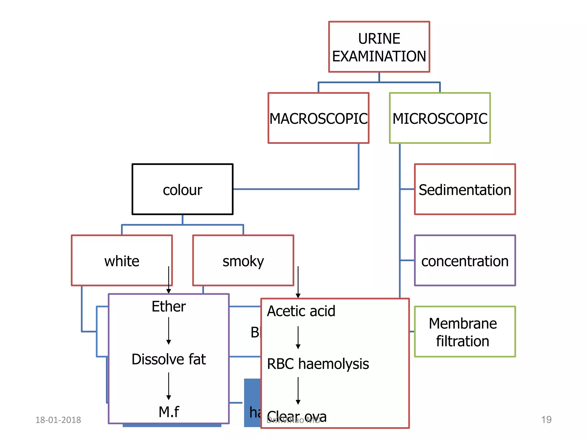 Parasitology Basic Identification methods | PPTX