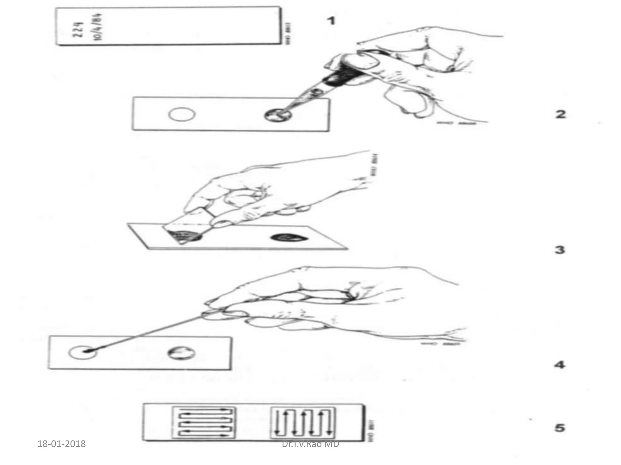 Parasitology Basic Identification methods | PPTX