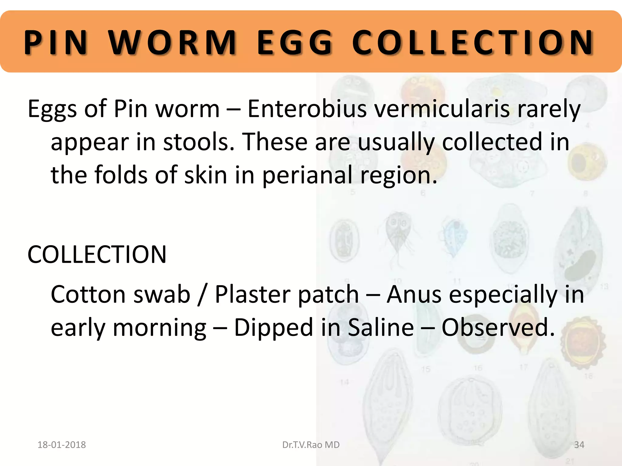Parasitology Basic Identification methods | PPTX