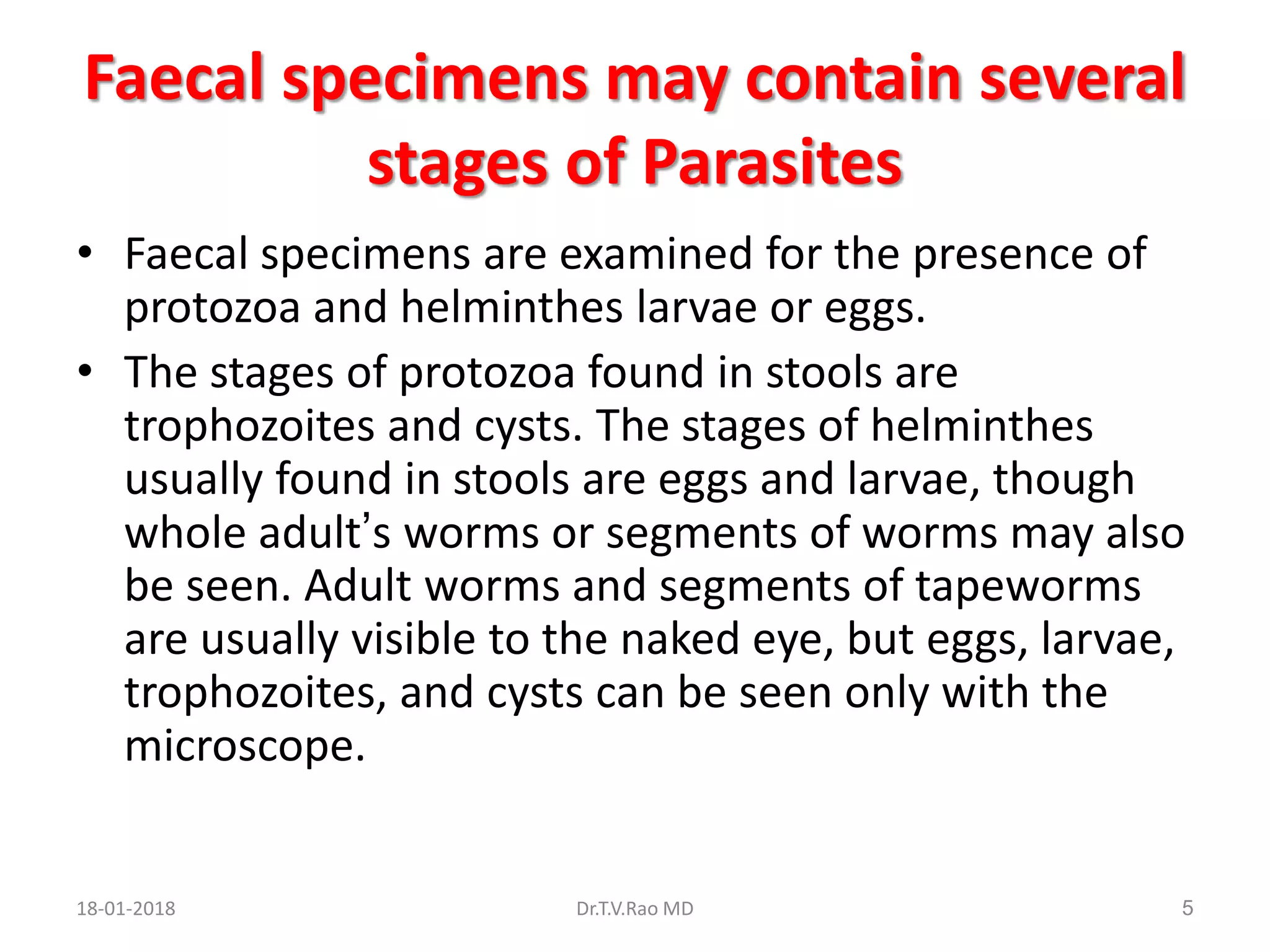 Parasitology Basic Identification methods | PPTX