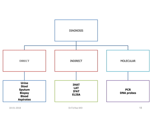Parasitology Basic Identification methods | PPTX | Infectious Diseases ...