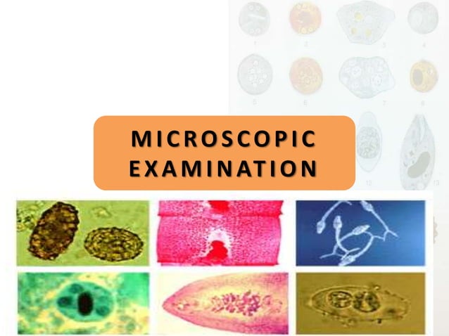 Parasitology Basic Identification methods | PPTX | Infectious Diseases ...