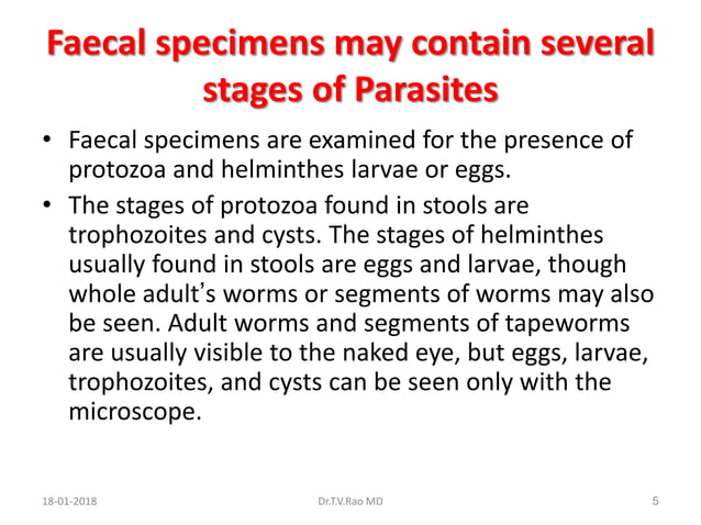 Parasitology Basic Identification methods | PPTX | Infectious Diseases ...
