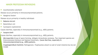 Parasitology presentation about protozoa | PPT