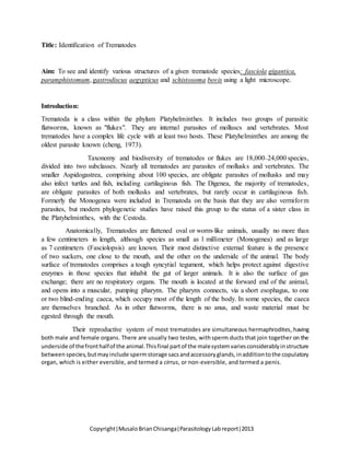 Parasitology lab1 | DOCX