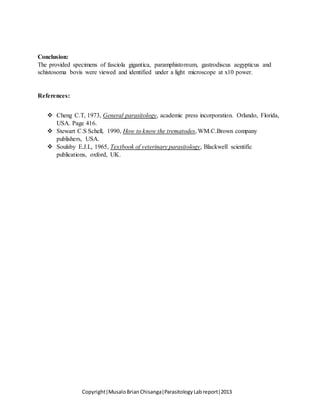 Parasitology lab1 | DOCX